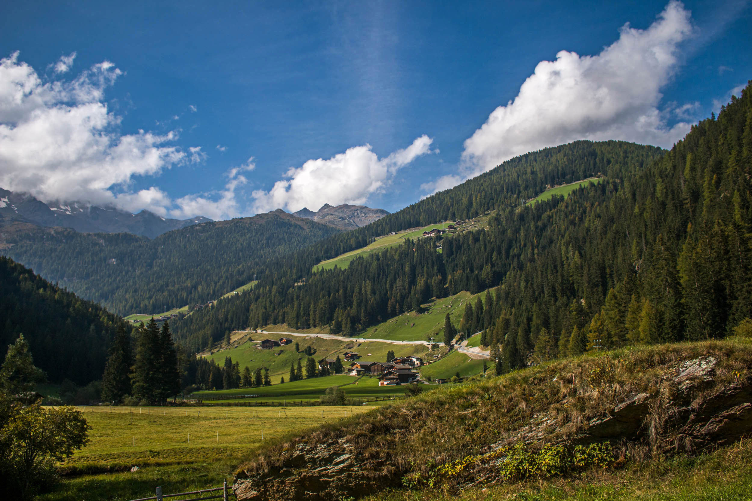 Webcams Schwemmalm Ulten | Live images South Tyrol