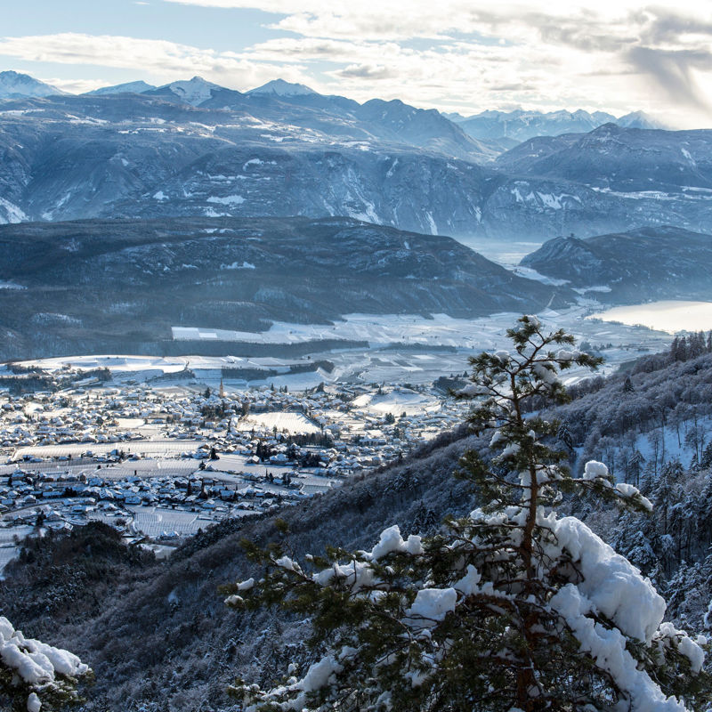 Lake Kaltern - Nature & lake in South Tyrol