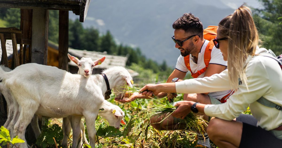 Animal Encounters | South Tyrol Blog